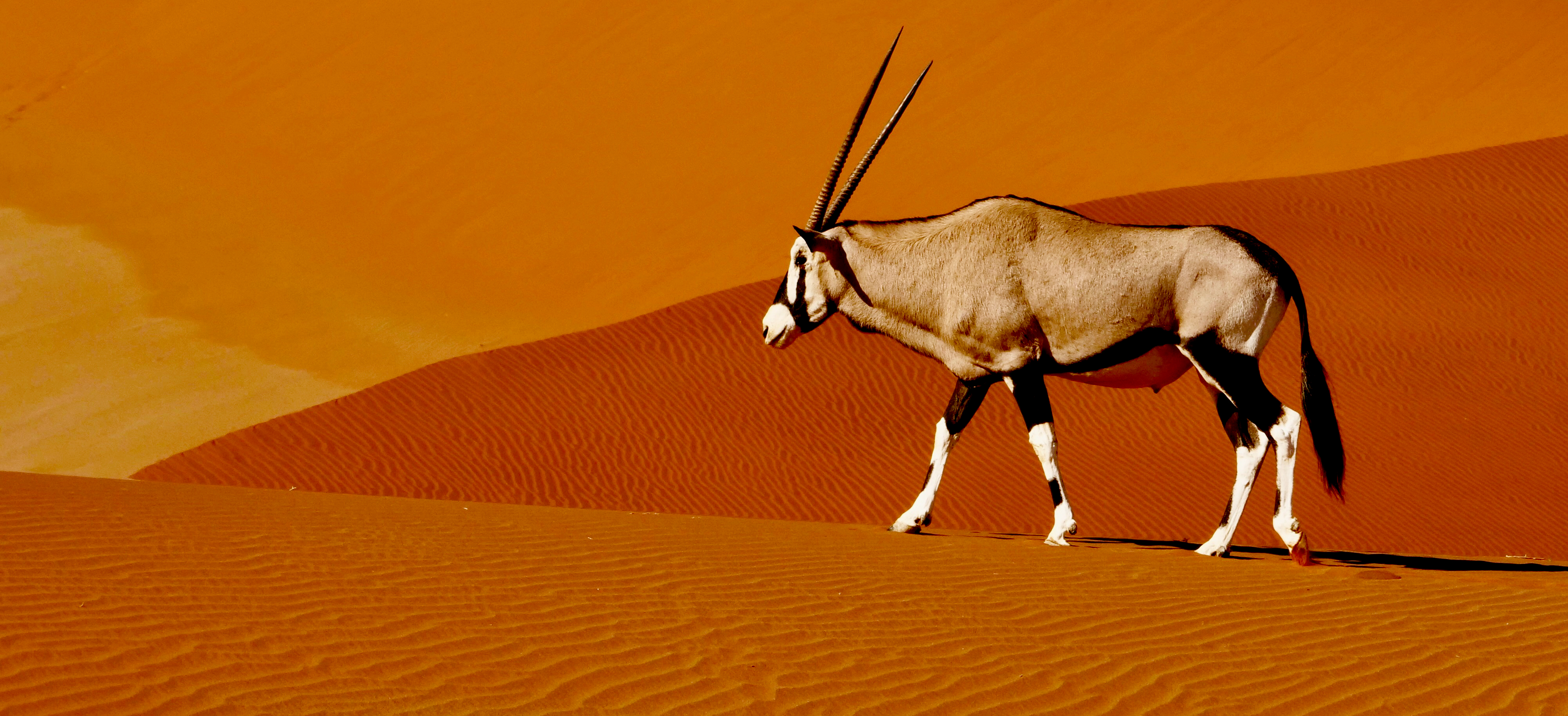 Extreme Namibia The World39s Oldest Desert Namibia