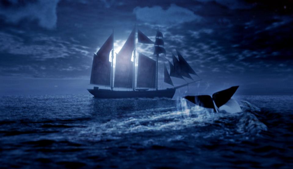 The Story of Europe | ZDF Studios