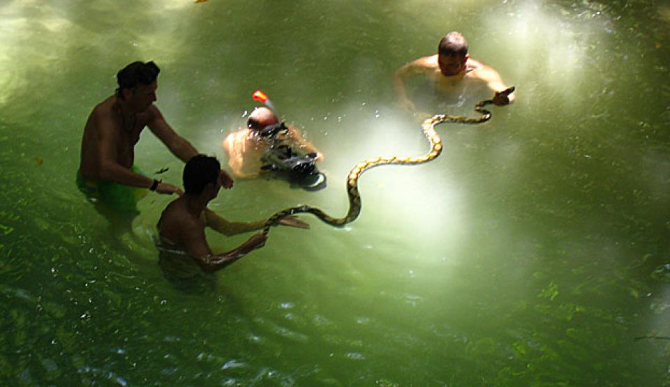 Wild Workers | ZDF Studios