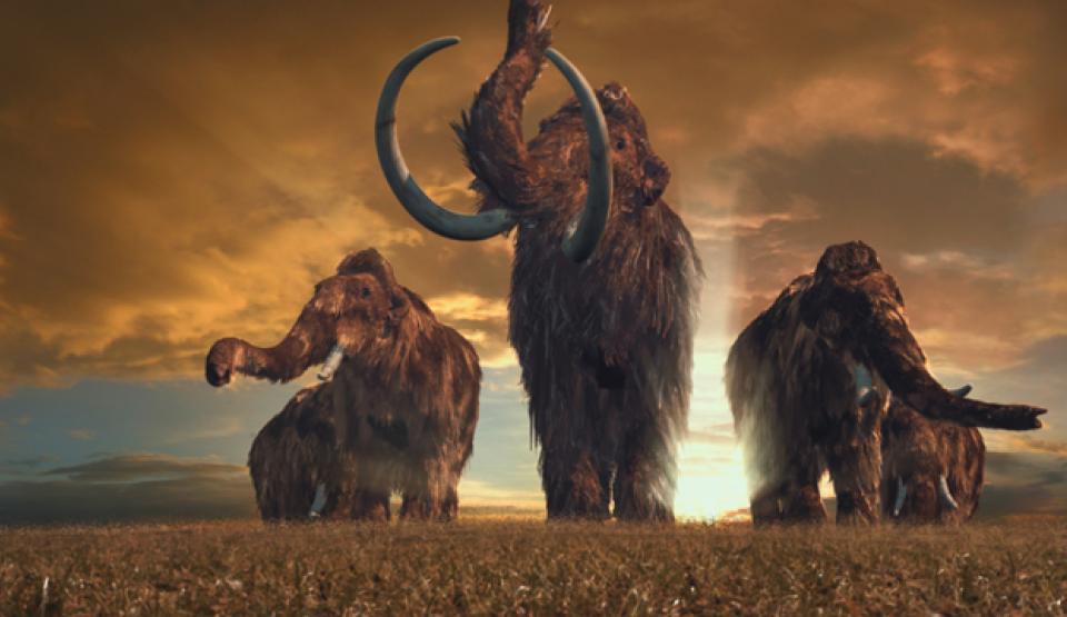 A Day in the Life of Earth | ZDF Studios