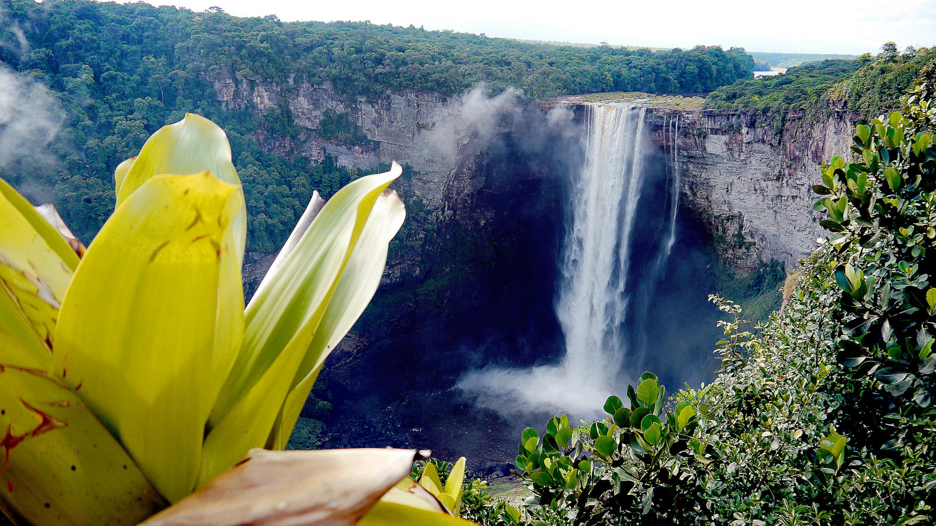 Essequibo - Hidden River | ZDF Studios