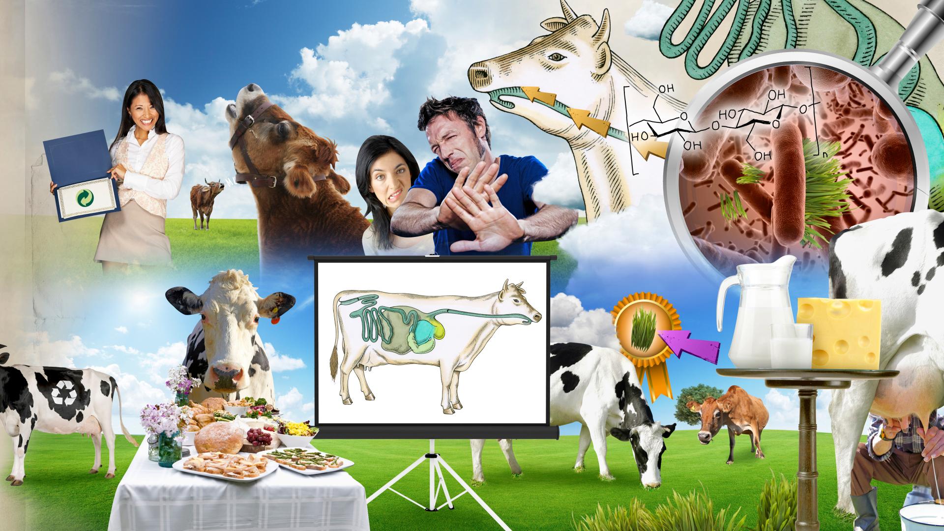 We're Riggers (Episode 1) | ZDF Studios