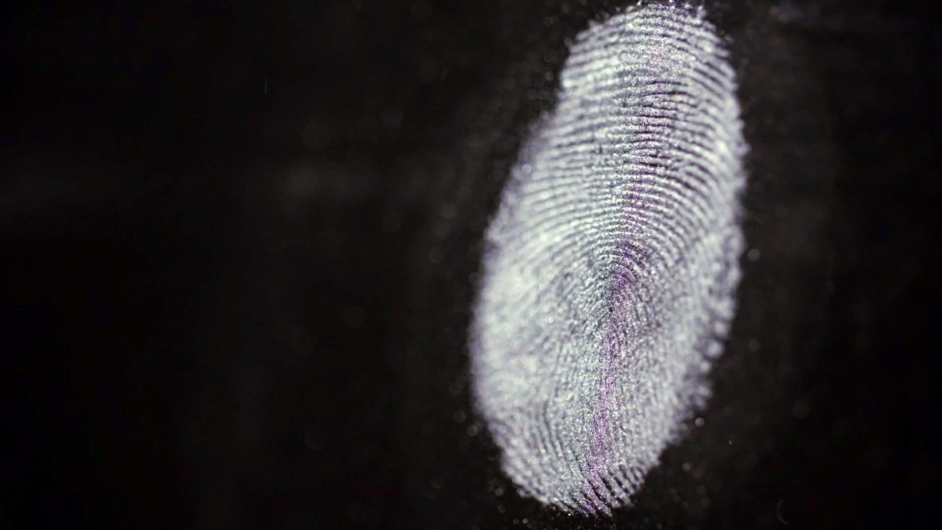 Forensics — The Science of Crime | ZDF Studios