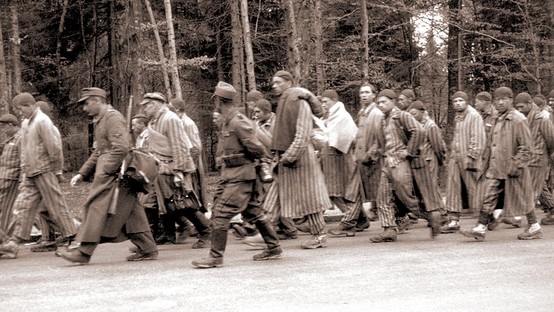 Hitlers Sklaven - Die Geschichte der NS-Zwangsarbeit | ZDF Studios Hitlers Sklaven - Die Geschichte der NS-Zwangsarbeit | ZDF Studios