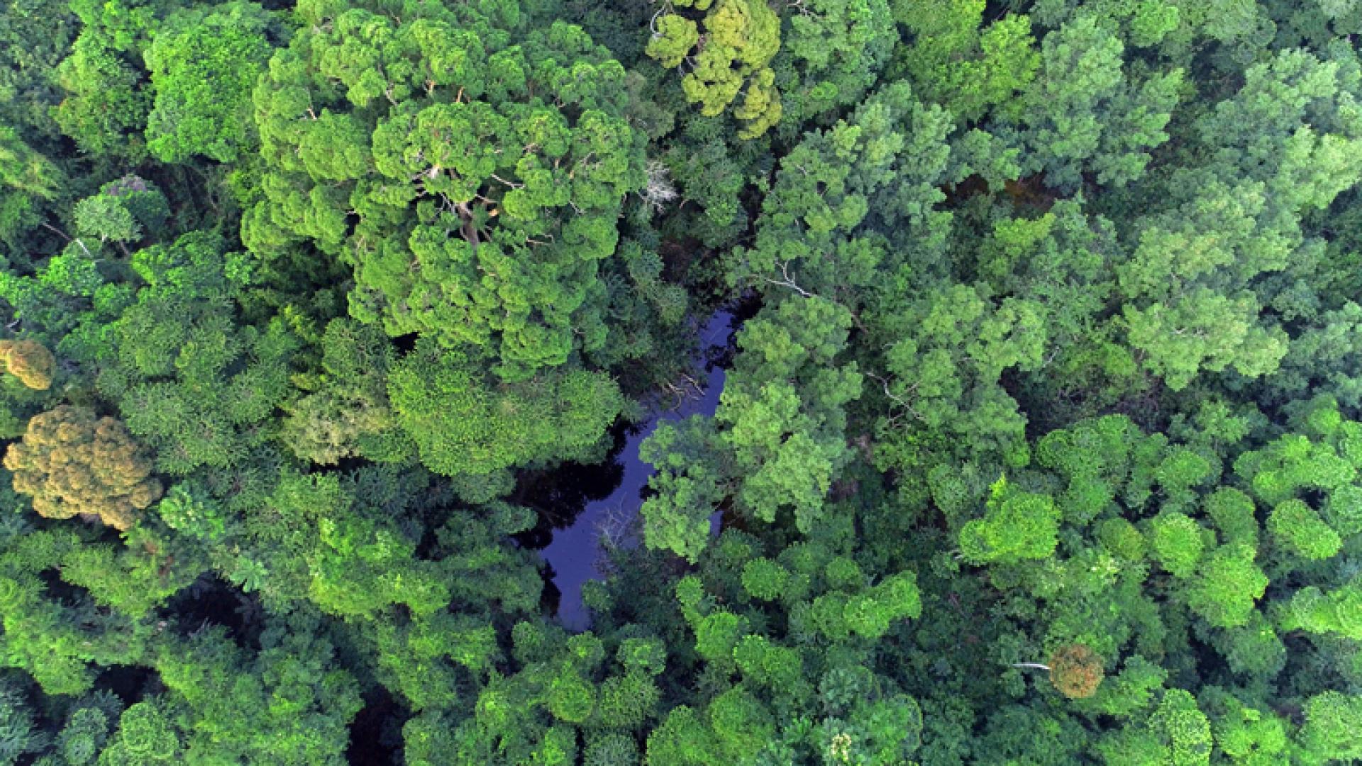 Equator - The Line of Life | ZDF Studios