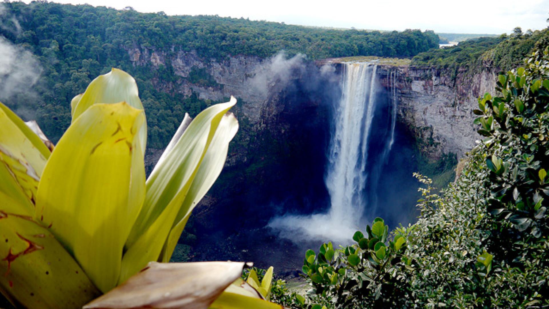 Essequibo - Hidden River | ZDF Studios