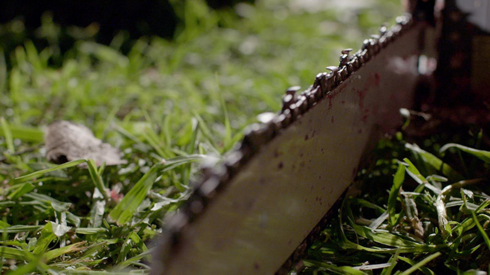 Herman Rockefeller (Episode 1) | ZDF Studios