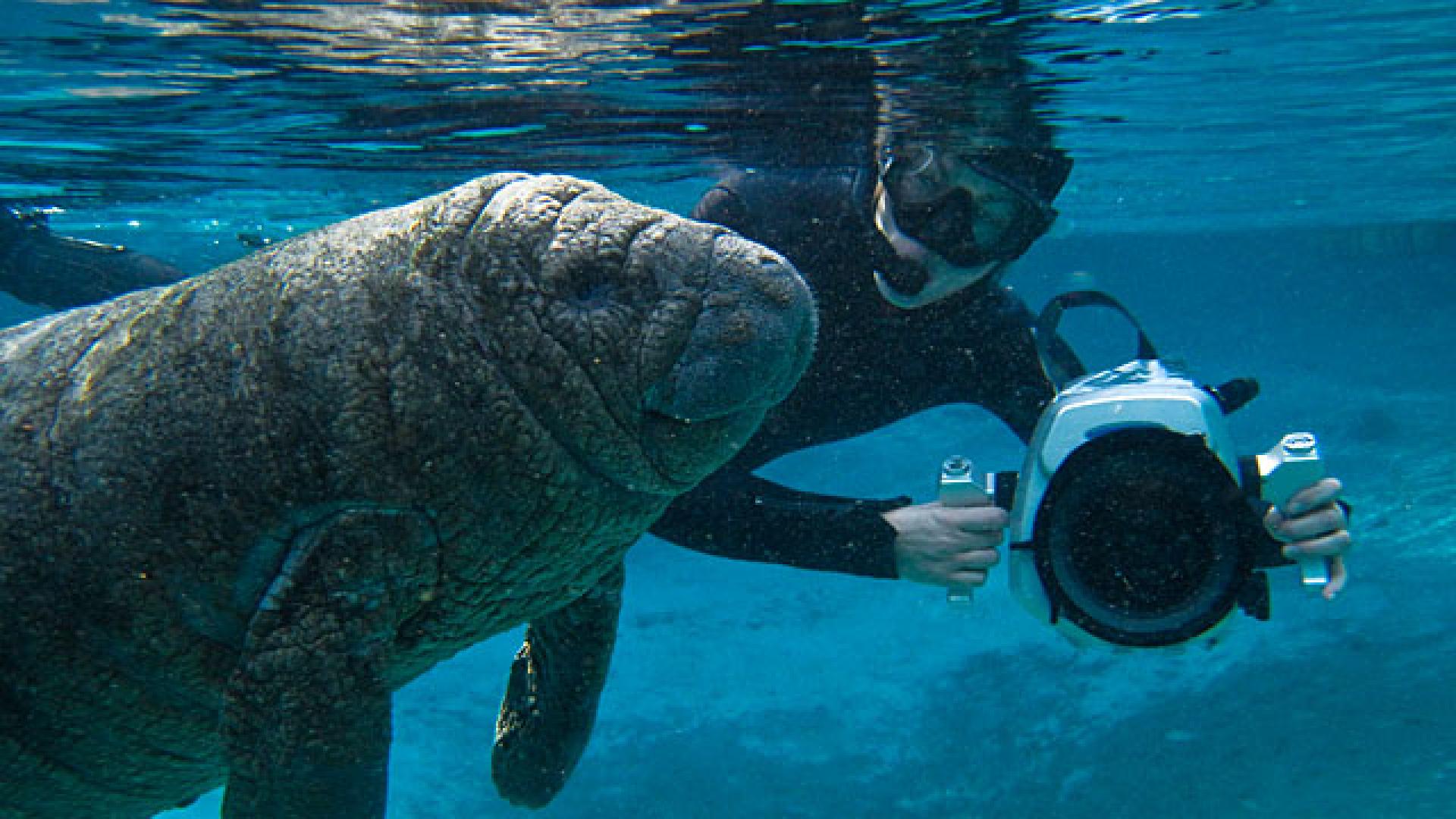 Ocean Stories | ZDF Studios