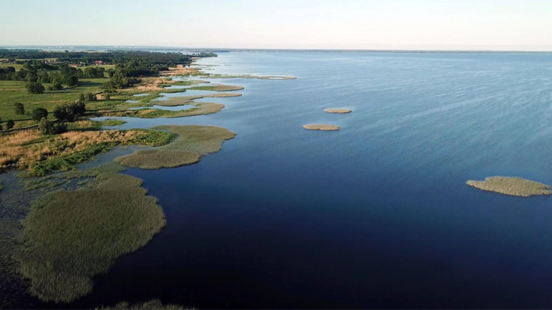 The Oder-Delta - A Wilderness without Borders | ZDF Studios