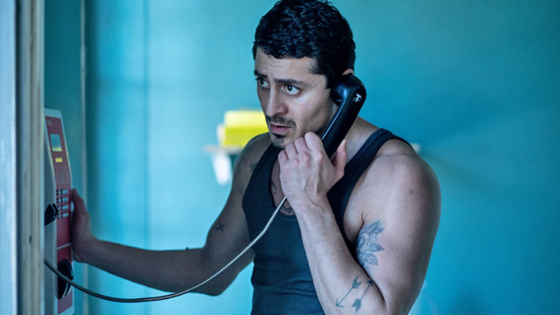 Top Dog | ZDF Studios