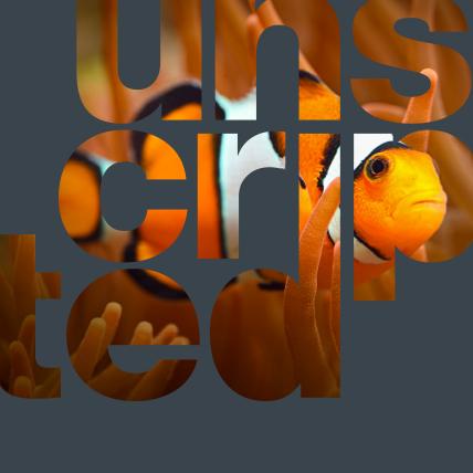 Program Catalog | ZDF Studios